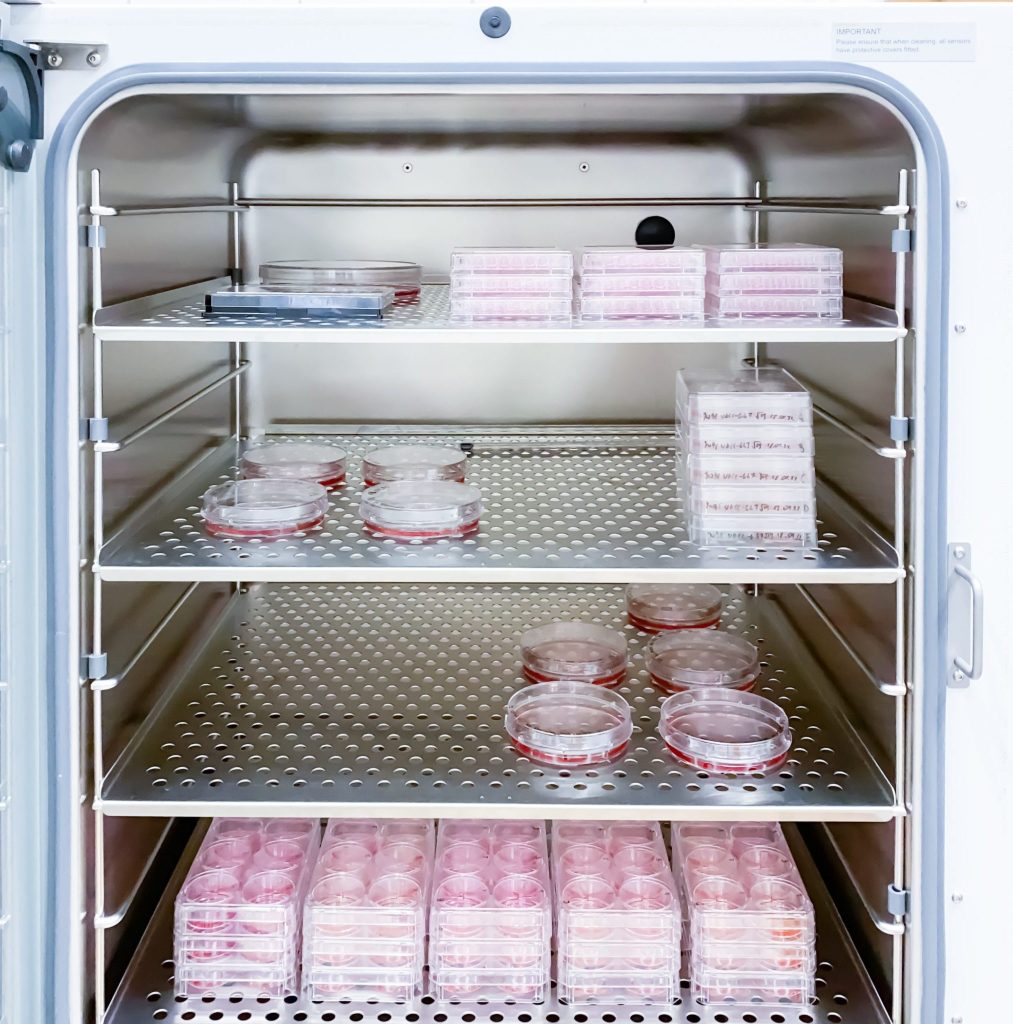 Lab Incubator Monitoring System | Dickson